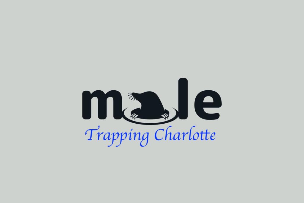 Mole Trapping Charlotte